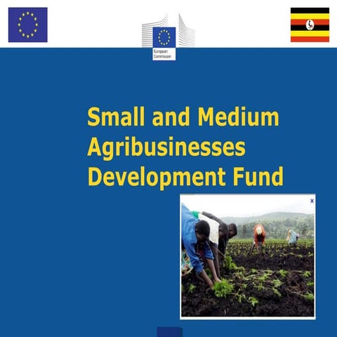Presentation Small and Medium Agribusinesses Development Fund | PPT