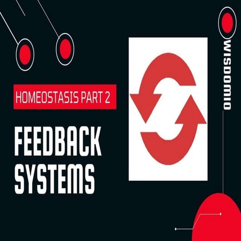 Positive and negative feedback | PPT