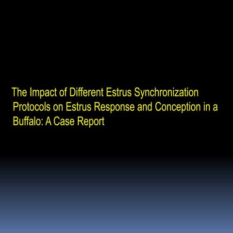 Impact Of Estrous Synchronization Protocols On Estrus Response And Conception In Buffalo A
