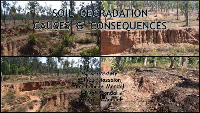 Class IV Science -Soil | PPTX | Gardening | Home & Garden