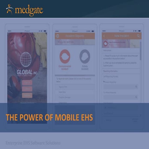 Environment Health Safety (EHS) Digitalization Plan | PDF