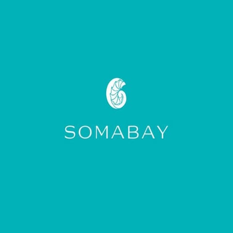 Presentation for soma bay | PPTX