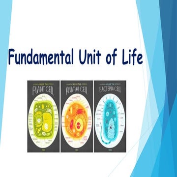 Human cell structure educational presentation | PPTX
