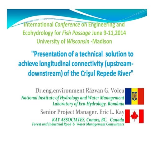 Madison fish passage conference presentation 2! Razvan Voicu, Eric Kay ...