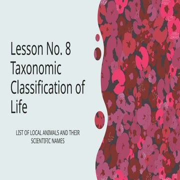 taxonomy classification of local animals with their scientic names on ...