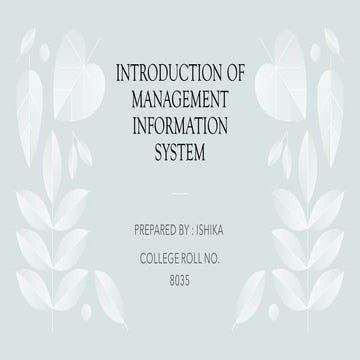 Management information system features function characteristics | PPT