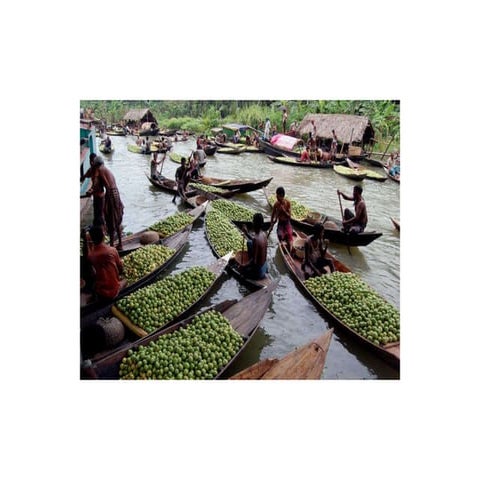 Presentation koyel | PPT