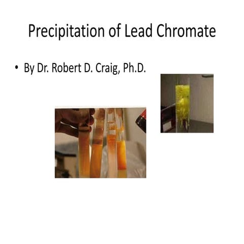 Presentationleadchromate2003new | PPTX