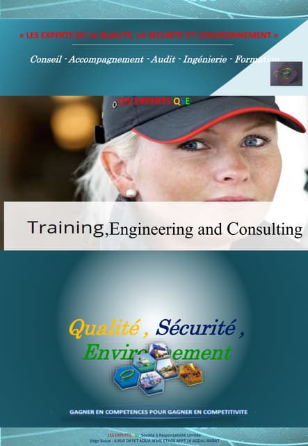 Alten Presentation | PPT