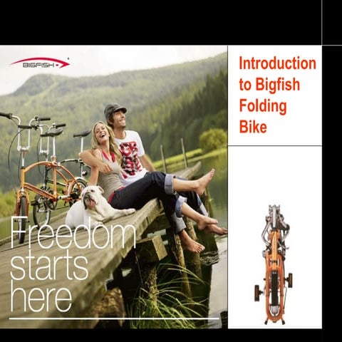 Bigfish folding bike - General Presentation - Sept09 | PPT