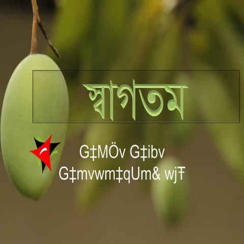 Presentation Mango Ppt