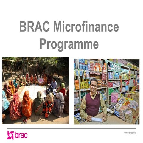 Microfinance Presentation 2013 | PPT