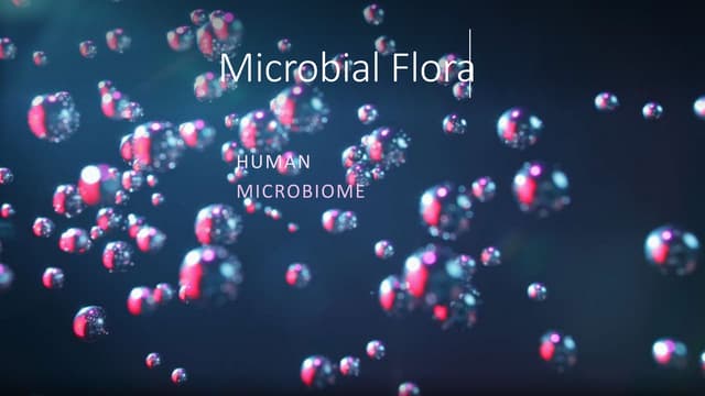 Normal Microflora of Human body | PPTX | Reproductive Health | Diseases and Conditions