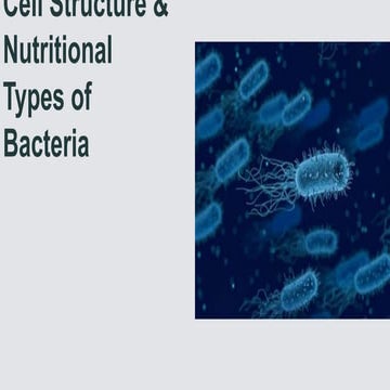 Microbial Nutritional types with examples | PPTX