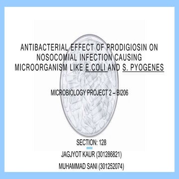 Presentation Microprojecttt 2 bi206.pptx