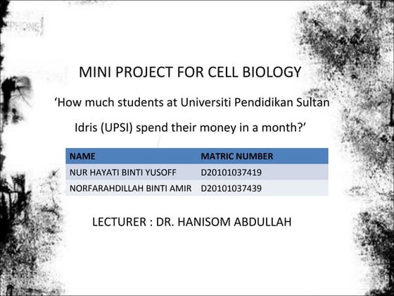 Mini Project Format | PDF