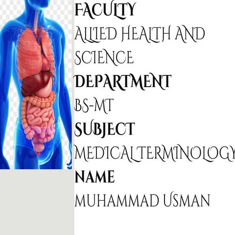 presentation MT.pdf about digestive system | PDF