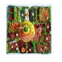 CALL +62 815-7222-2428 tumpeng ulang tahun lucu Setu Tangsel | PPT