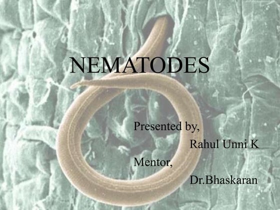 1.Classification_of_ all the Nematodes.ppt