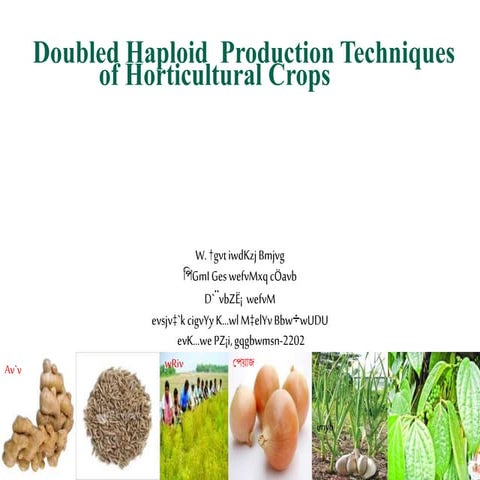 Doubled Haploid Production Techniques of Horticultural Crops | PPT
