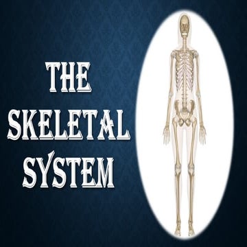 HUMAN SKELETAL SYSTEM ANATAMY AND PHYSIOLOGY | PDF