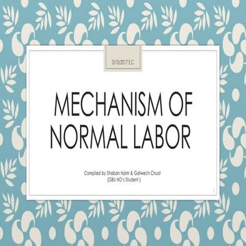 Presentation (Normal labor). power point | PPSX