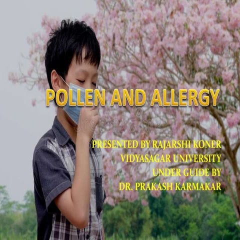 Pollen allergy | PPTX