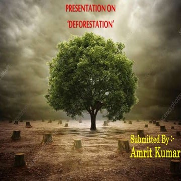 Deforestation | PPTX