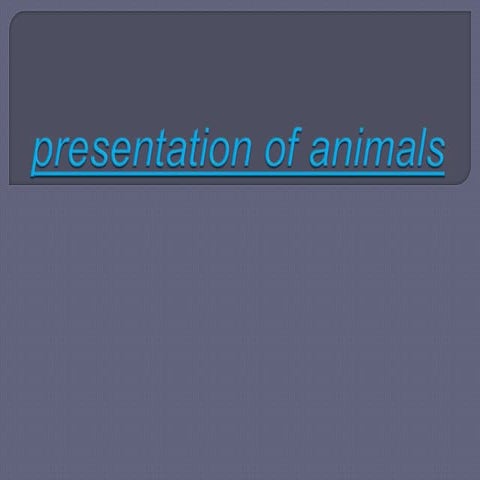 Presentation of animals | PPT