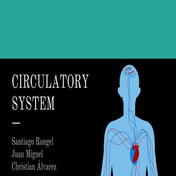 English presentation on the circulatory system | PPT