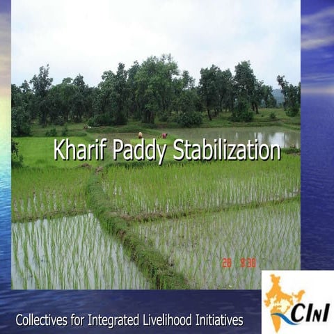 Presentation of kharif paddy stabilisation | PPT