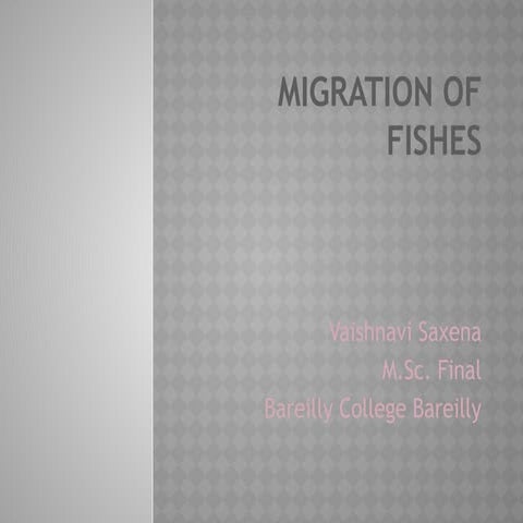Presentation of migration of fish.pptx