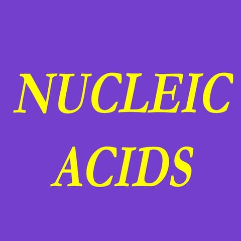 نسخة Presentation of nucleic acids.pptxت | PPTX