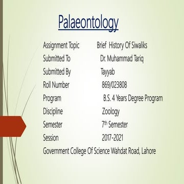 Siwalik hills and their formation | PPTX