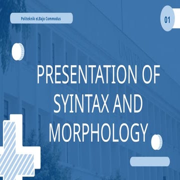 Presentation of Syintax and Morphology_20250212_190907_0000.pptx