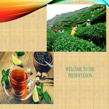 Presentation of tea | PPTX