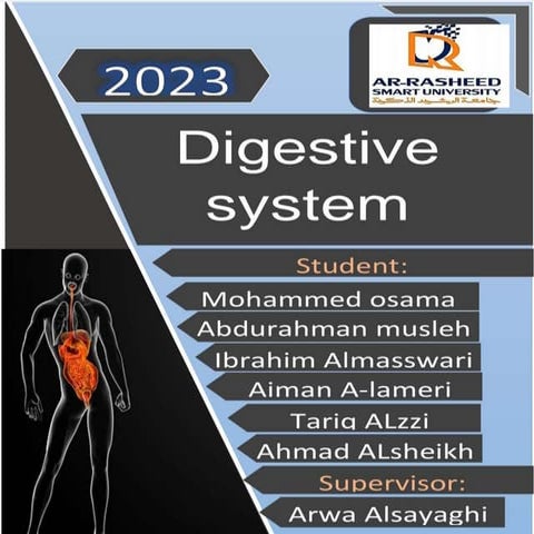 presentation of the human digestive system.pptx