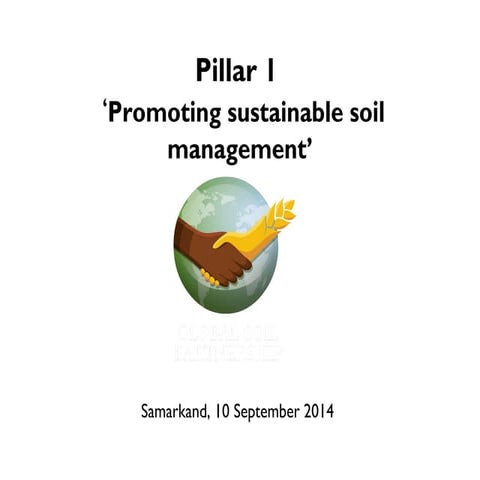 Presentation of the implementation plan for Pillar 1 | PPT