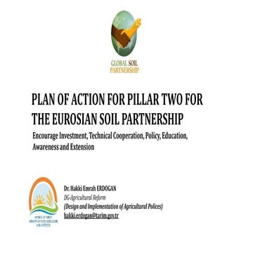 Presentation of the implementation plan for Pillar 2 | PPTX