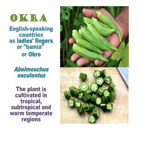 okra benefits | PDF