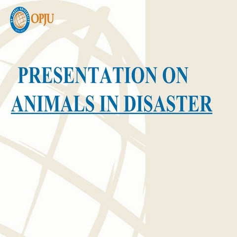Presentation on animals in disaster | PPT