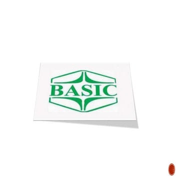 Presentation on Basic Bank | PPTX