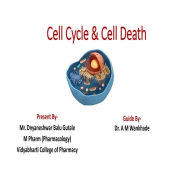 Cell Cycle and Cell Death.pptx