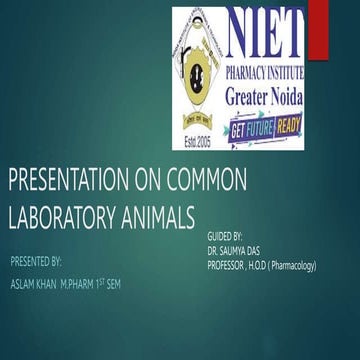 Common laboratory animals | PPTX