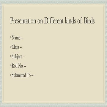 Presentation on Different kinds of Birds.pptx