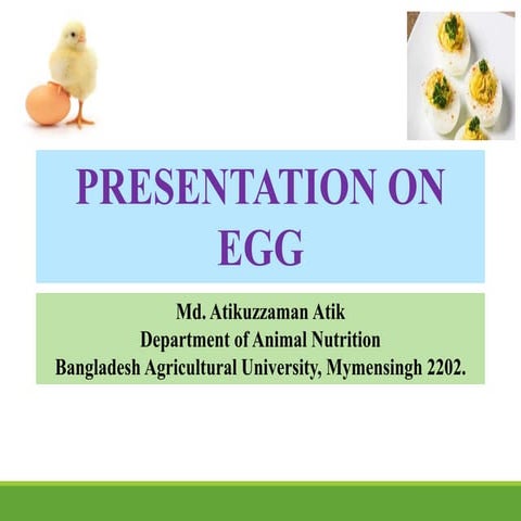 Presentation on egg | PPTX