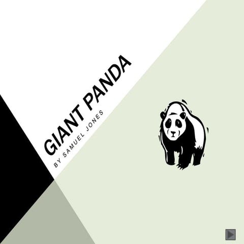 Presentation on endangers panda's | PPT