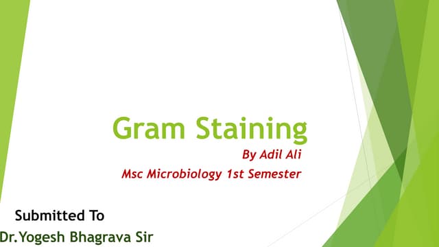 Gram positive and gram negative bacteria | PPTX