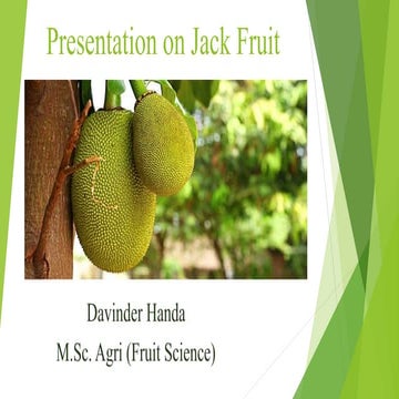 Cultivation oF jack fruit | PPTX