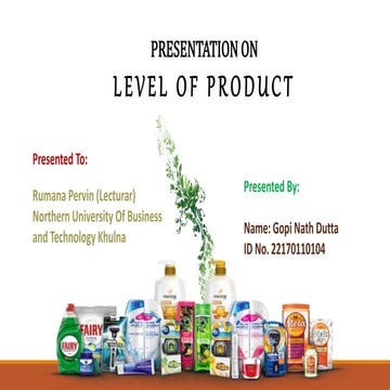 Presentation On Level Of Product | PPTX | Business | Business and Finance